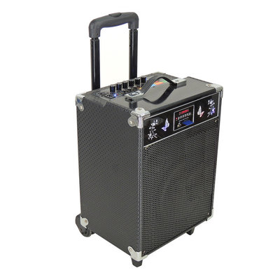 10 Inch Bluetooth Portable Speaker System With Wireless Microphone / Mic Input