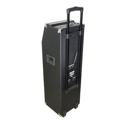 Double 10 Inch Subwoofer Portable Speaker PA System Battery Powered Speakers