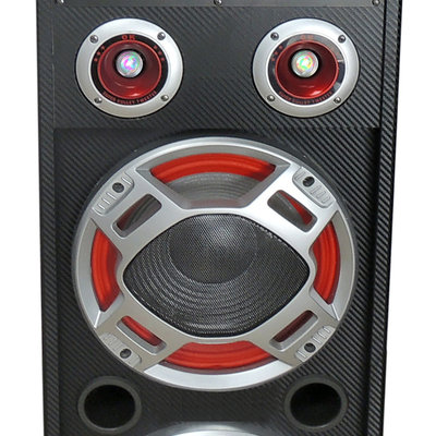 Double 10 Inch Subwoofer Portable Speaker PA System Battery Powered Speakers