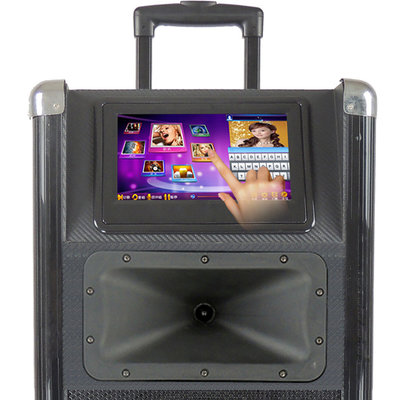 Professional Stage Portable Wireless Speaker System Bluetooth Dj Speakers For Party