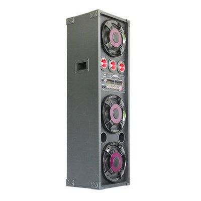 Dual Equalizer Portable Bluetooth PA Speakers For Concert , Active Outdoor Speakers