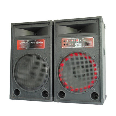 15 Inch Fm Radio USB Portable PA Sound System , Home Bluetooth Speaker System