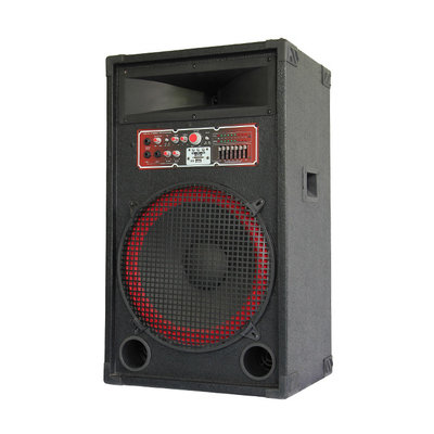 15 Inch Fm Radio USB Portable PA Sound System , Home Bluetooth Speaker System