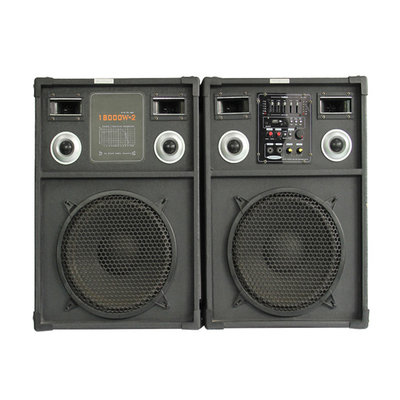 12 Inch Subwoofer Portable Bluetooth PA Speakers 2 Way Mic Input For Karaoke
