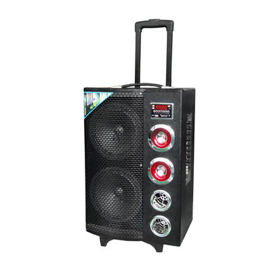 Bluetooth Wireless PA Battery Powered Dj Speakers With Trolley And Wheels