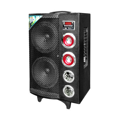 Bluetooth Wireless PA Battery Powered Dj Speakers With Trolley And Wheels