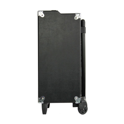 8 Inch Portable Trolley Speaker Battery Powered Pa System With Dvd Player And Bluetooth