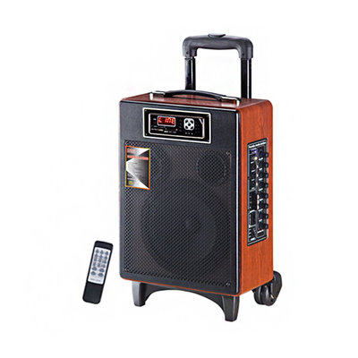 Wireless Rechargeable Battery PA Speaker Wireless Microphone And Speaker