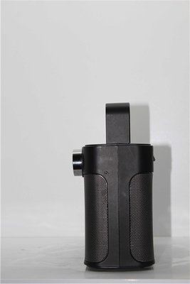 Outdoor Active Rechargeable battery powered PA Speaker With Aux Input / Fm Radio