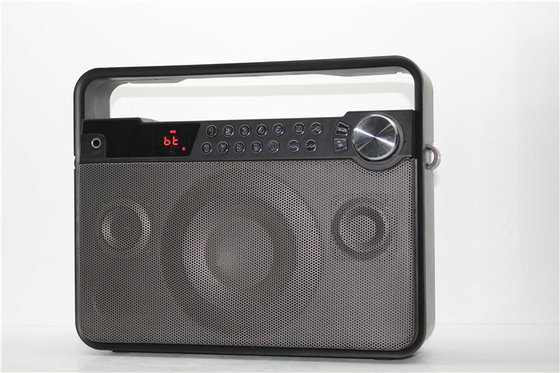 Handheld Compact Rechargeable PA Speaker Microphone System For Enjoy Music