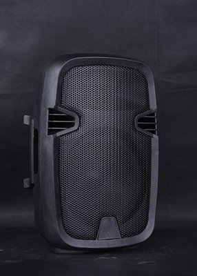 Lithium Battery Portable Trolley Speakers With FM Radio / Bluetooth Function