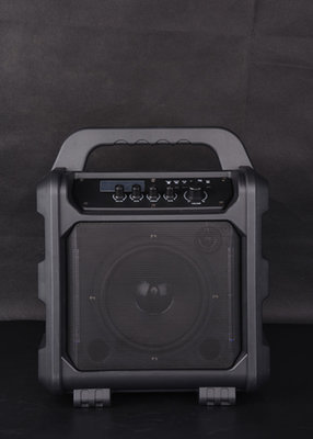 Hand - Held Bluetooth Function Portable PA Speaker With High Capacity Battery
