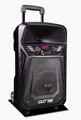 Lithium Battery Rechargeable Trolley Speaker With Wireless Microphone / Bluetooth