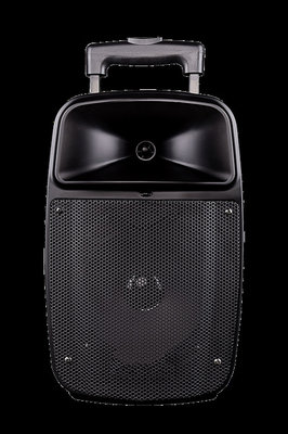 Wireless Microphone Outdoor Rechargeable Dj Speakers With Bluetooth / Fm Radio