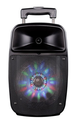12 Inch Bluetooth Function Rechargeable Portable Trolley Speakers With Led Lights