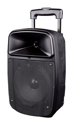 12 Inch Bluetooth Function Rechargeable Portable Trolley Speakers With Led Lights