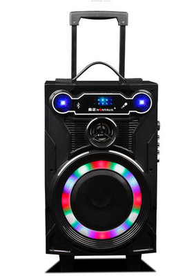 Led Lights Wooden Portable Wireless PA System With Trolley / Bluetooth Function