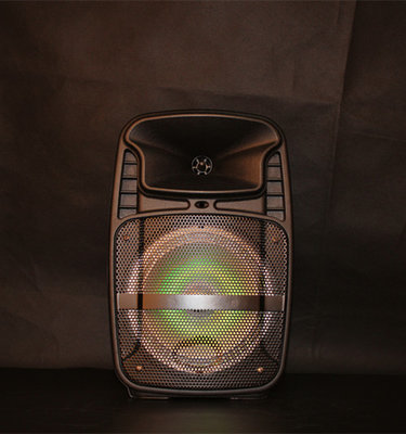 Rechargeable Lithium Battery Portable Trolley Speakers With Fm Radio Function