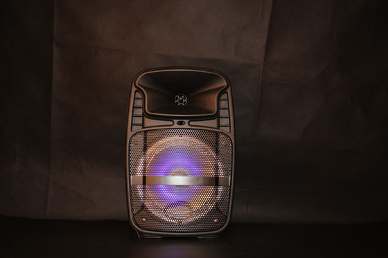 Rechargeable Lithium Battery Portable Trolley Speakers With Fm Radio Function