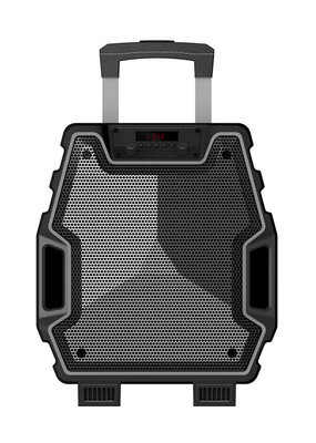 8 Inch Outdoor Black Color Portable  Plastic Body Speaker System With Bluetooth Function