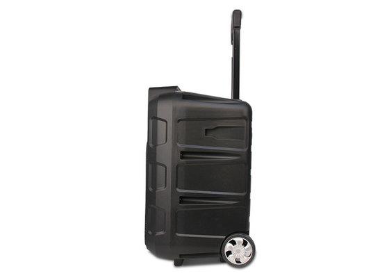 8 Inch Rechargeable Portable Trolley Speaker with Bluetooth , LED Lights , FM Radio Function