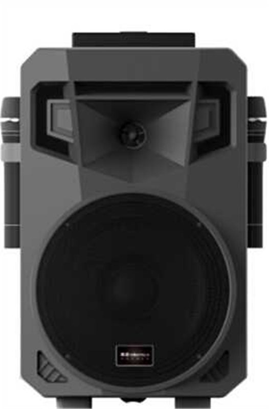 12 Inch Bass 100W Portable Trolley Speakers , Rechargeable Portable Speaker System