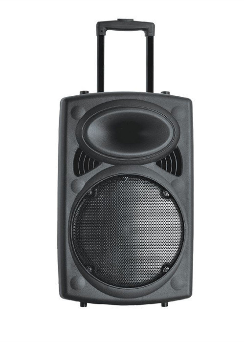 10 Inch 80W Plastic Portable Trolley Speakers / Bluetooth Powered PA Speakers