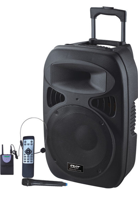 High Power 120 Watt Portable Trolley Speakers , Bluetooth Powered PA Speakers