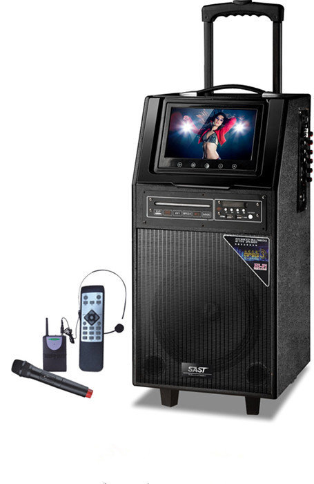 Usb Bluetooth Portable Battery Powered Speakers With Dvd Player , Wireless Microphone