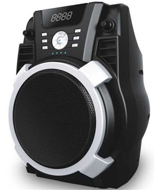 Outdoor Portable Battery Powered Active Speaker Systems With SD / FM And USB