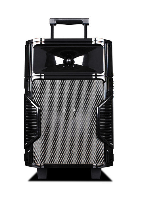 Pro Audio Music Bluetooth Rechargeable Trolley Speaker Portable PA Sound System