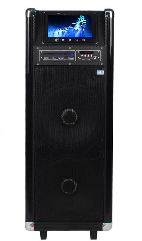 Double 12 Inch Woofer Portable Speaker System On Wheels , Battery Powered
