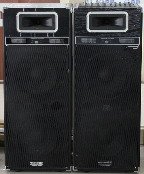 Dual 10 Inch Wireless PA Speakers , Bluetooth DJ Party Speaker With Equalizer