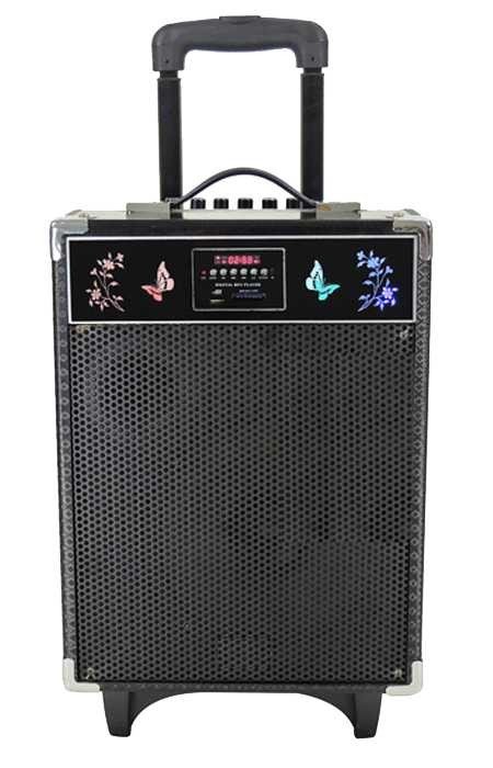 10 Inch Bluetooth Portable Speaker System With Wireless Microphone / Mic Input