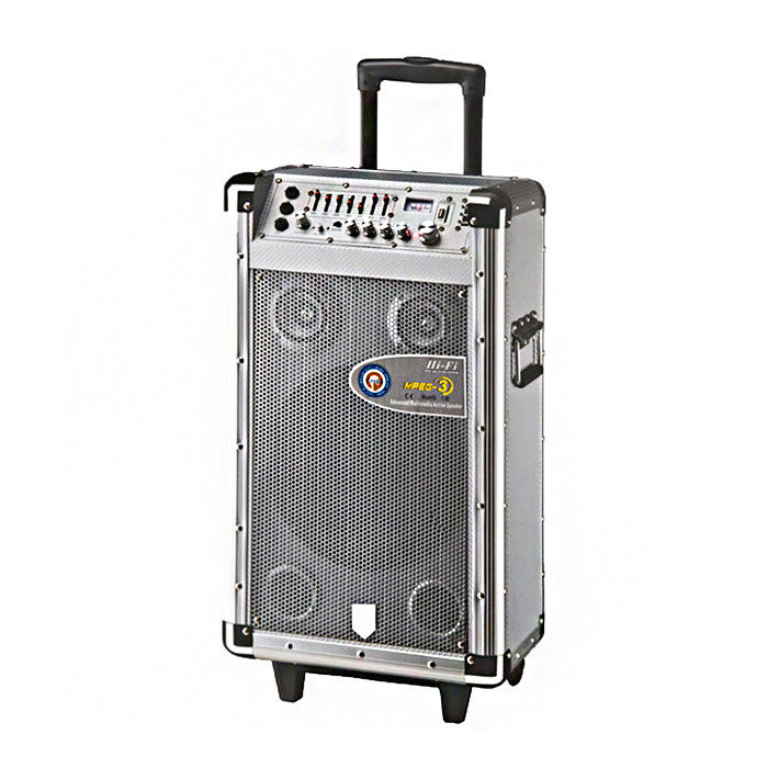 10 Inch Stage Active Bluetooth Trolley Speaker With Equalizer And Aux Input