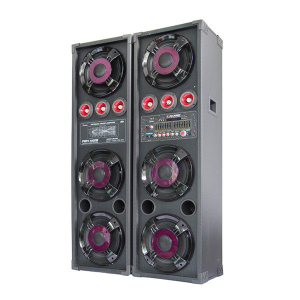 Dual Equalizer Portable Bluetooth PA Speakers For Concert , Active Outdoor Speakers