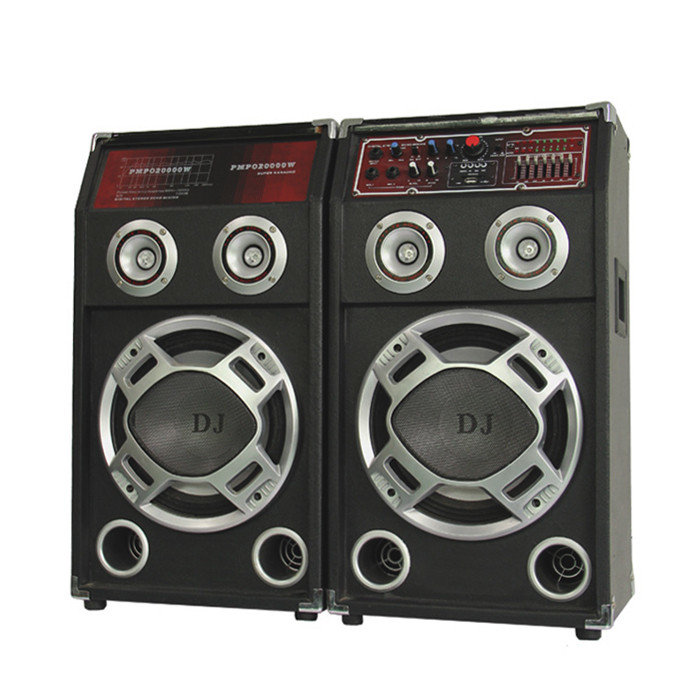 Loudest Wireless Portable Bluetooth PA Speakers With Equalizer And Audio Input