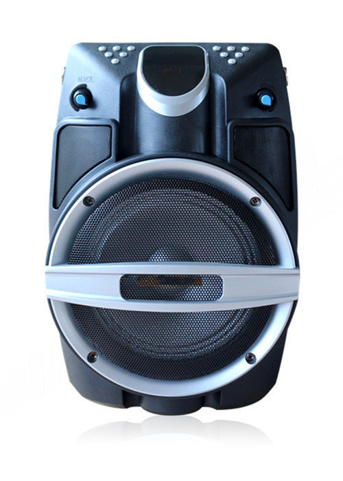 Professional Small 6.5 Inch Rechargeable Bluetooth Pa Speaker And Mic System