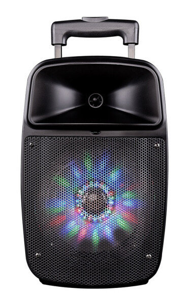 12 Inch Bluetooth Function Rechargeable Portable Trolley Speakers With Led Lights