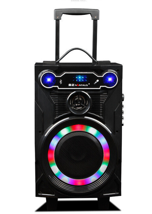 Led Lights Wooden Portable Wireless PA System With Trolley / Bluetooth Function