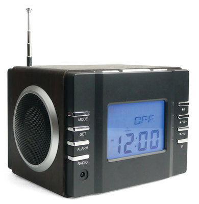 Remote Control Wooden Speakers With FM Radio For Cellphone , Computer