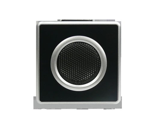 U Disk/ FM card Wooden Speakers USB flash disk