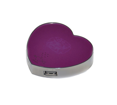 Aluminium Universal Power Bank Charger 