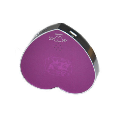Aluminium Universal Power Bank Charger 