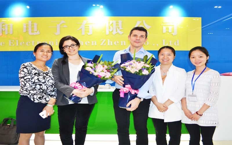 China MEI  SHUN HE ELECTRONIC LIMITED   company profile
