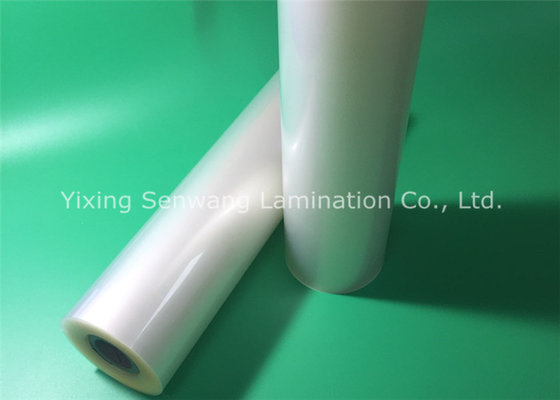 Rotolo di film di laminazione del poliestere del rotolo di film del Mic della prova 80 dell'insetto 0.23×100 m.