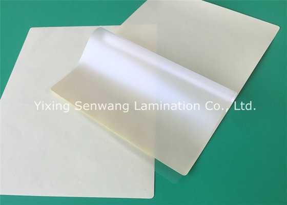 La laminazione posteriore appiccicosa amichevole di ECO riveste il film dell'ANIMALE DOMESTICO laminato 4 mil con colla EVA