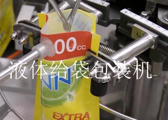 Flexible Setting Rotary Pouch Packing Machine With Package Speed 15-40 Bags/min