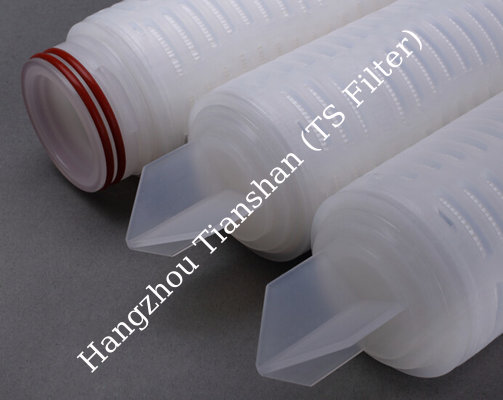 PES membrane Sterilizing Grade 10 micron water filter cartridge for critical processing