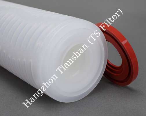 PES membrane Sterilizing Grade Filters , 10 inch water filter cartridges , Bacterial Challange Test passed